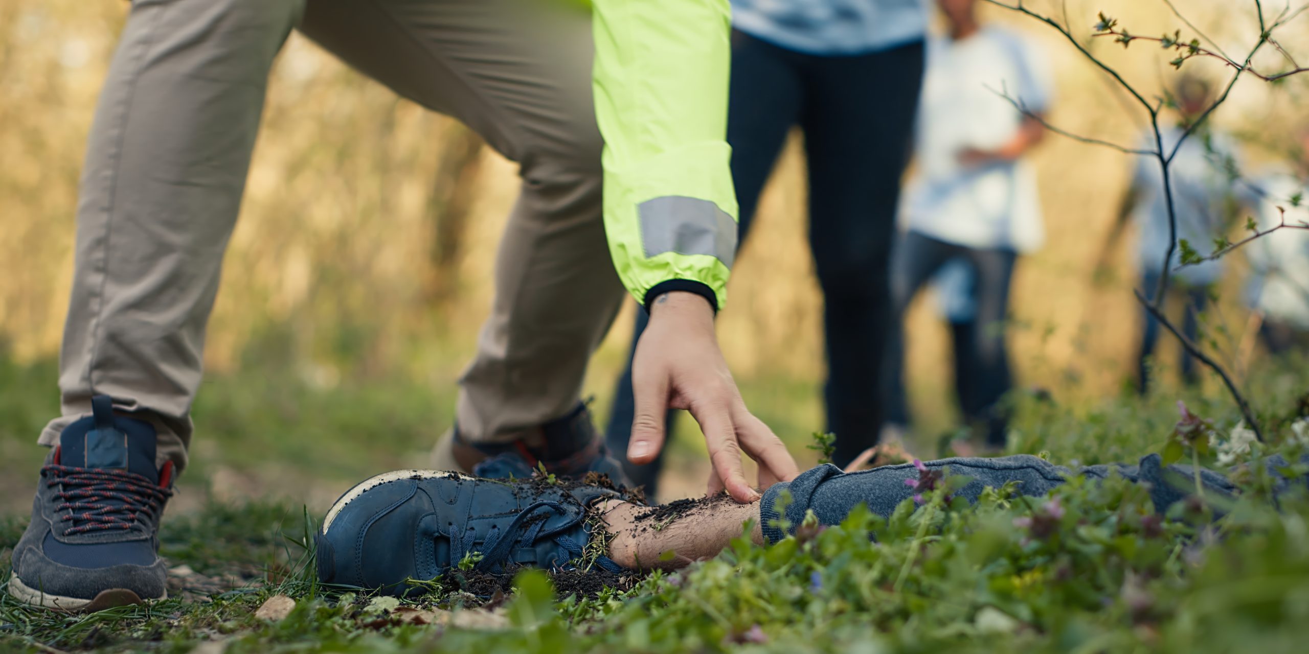 ¿Cuáles son los tipos de atropellos? - NBI SAS